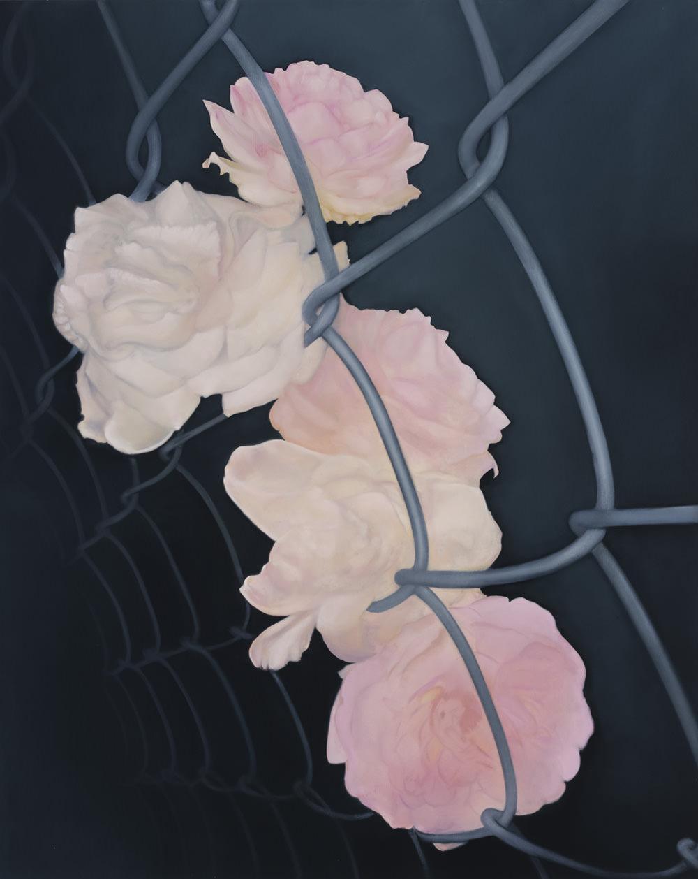 Les dentelles de la forclusion I (Roses-clôture frost) - Isabelle ...