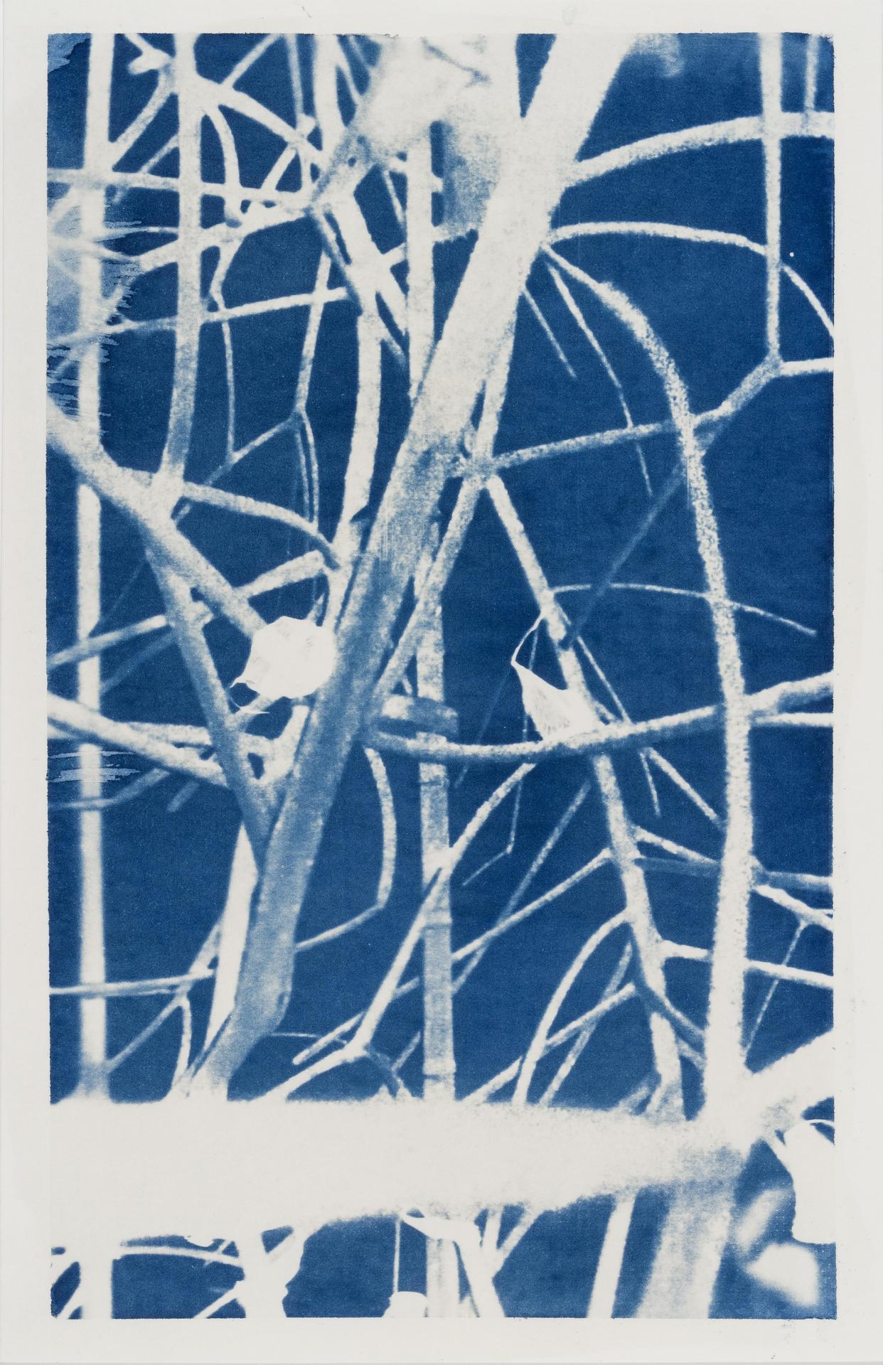 Dissipation 0205 - Natalja Scerbina - Galerie Simon Blais - Art Gallery ...